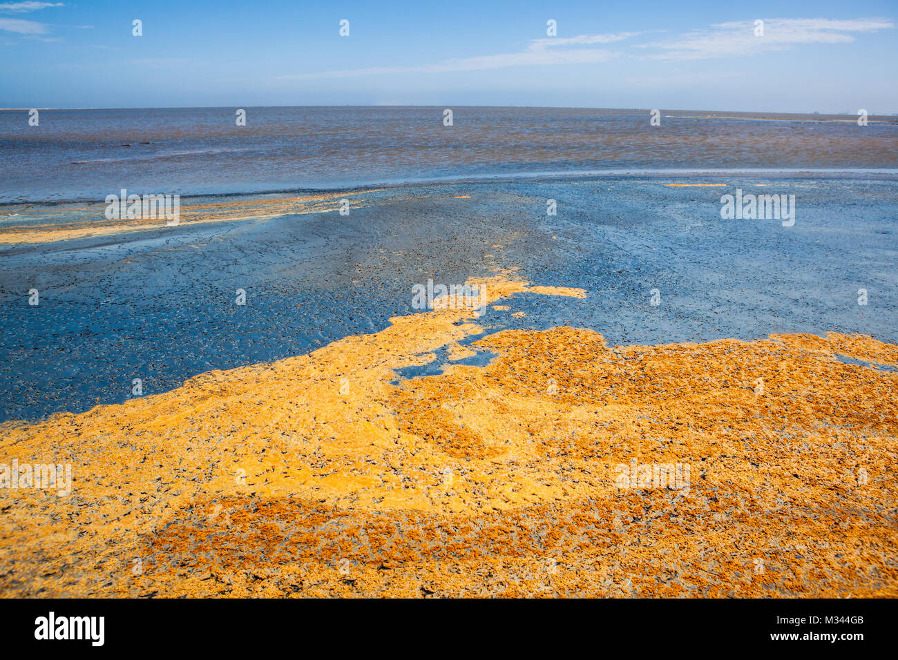 Salt pans, Swakopmund, Namibia Stock Photo - Alamy