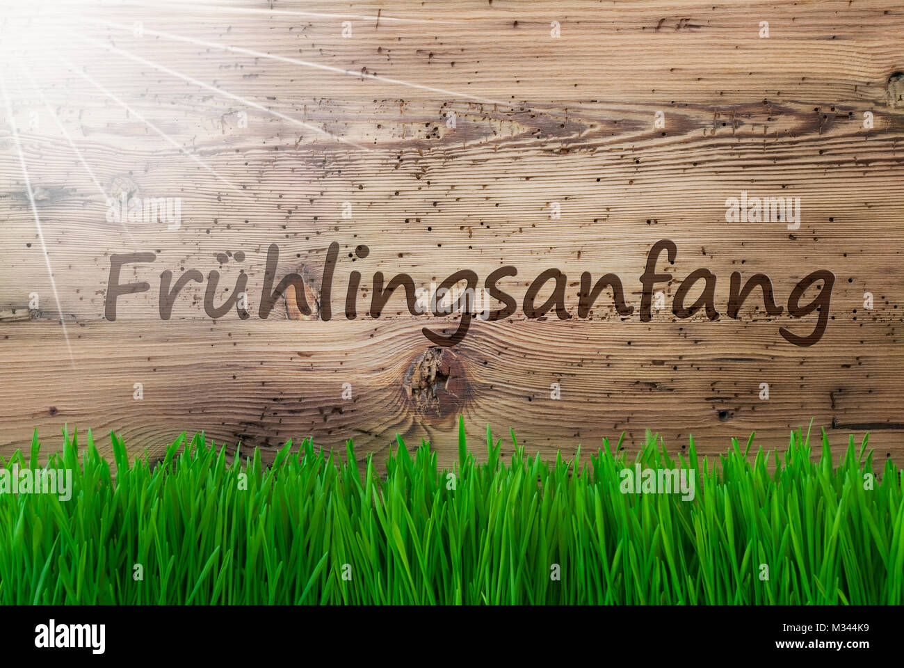 Sunny Wooden Background, Gras, Fruehlingsanfang Means Beginning Of ...