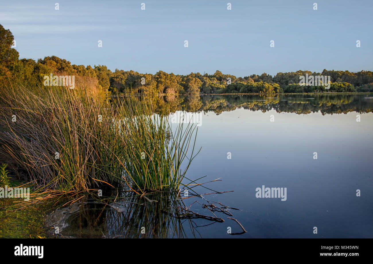 Yanchep lake hi-res stock photography and images - Alamy