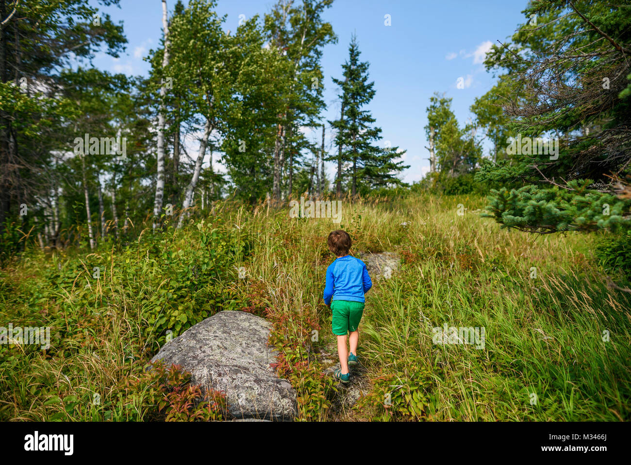 Boy walking along a forest trail Stock Photo - Alamy