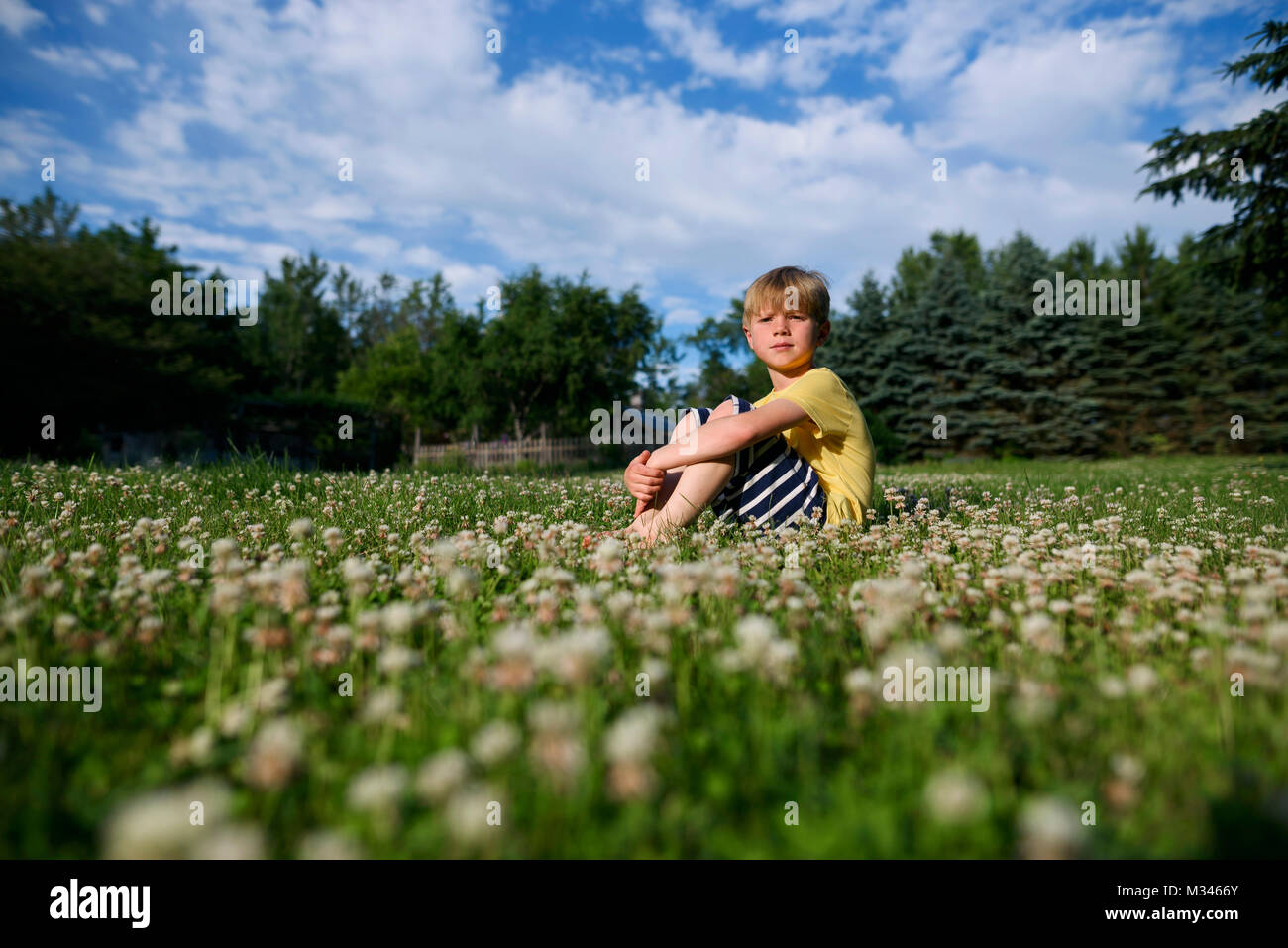 Boy sitting in grass Stock Photo - Alamy