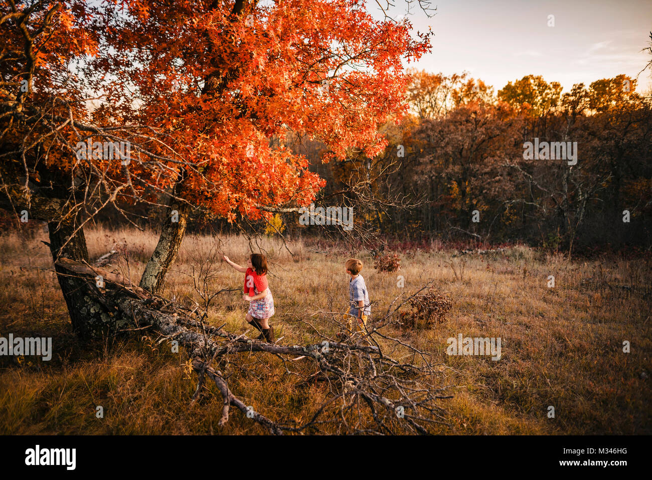 Boy and girl playing in a rural landscape Stock Photo - Alamy