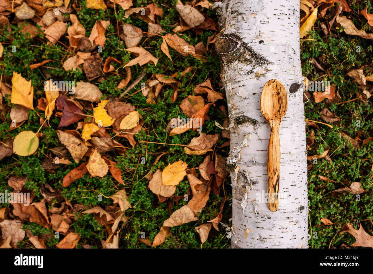 Spoon craft hi-res stock photography and images - Alamy