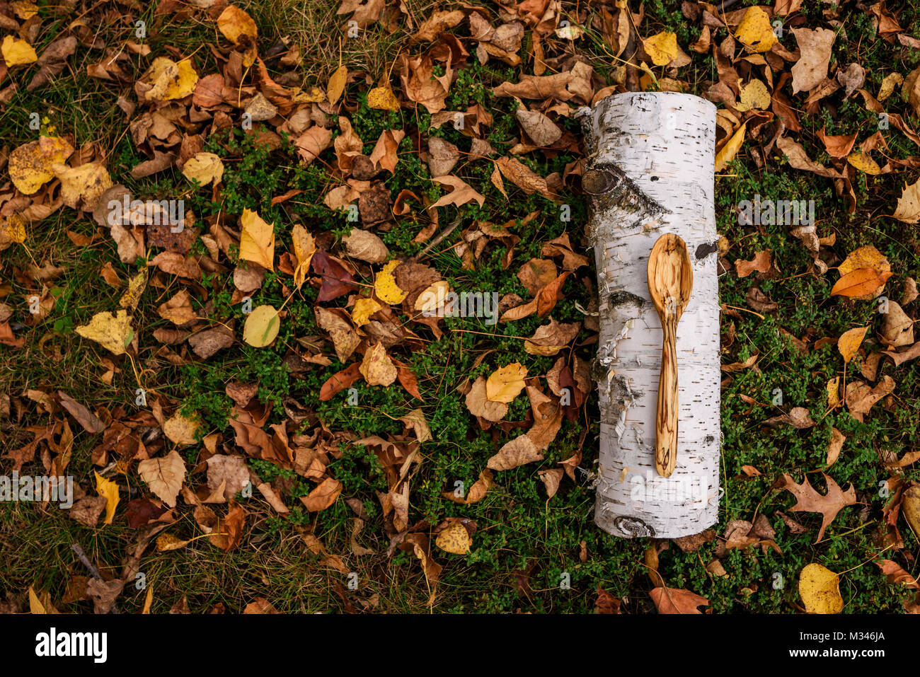 Carved spoon lying on a log Stock Photo - Alamy