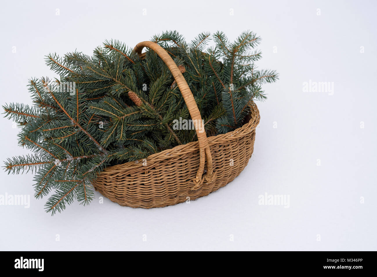 Overhead view of a basket filled with pine branches in the snow Stock ...