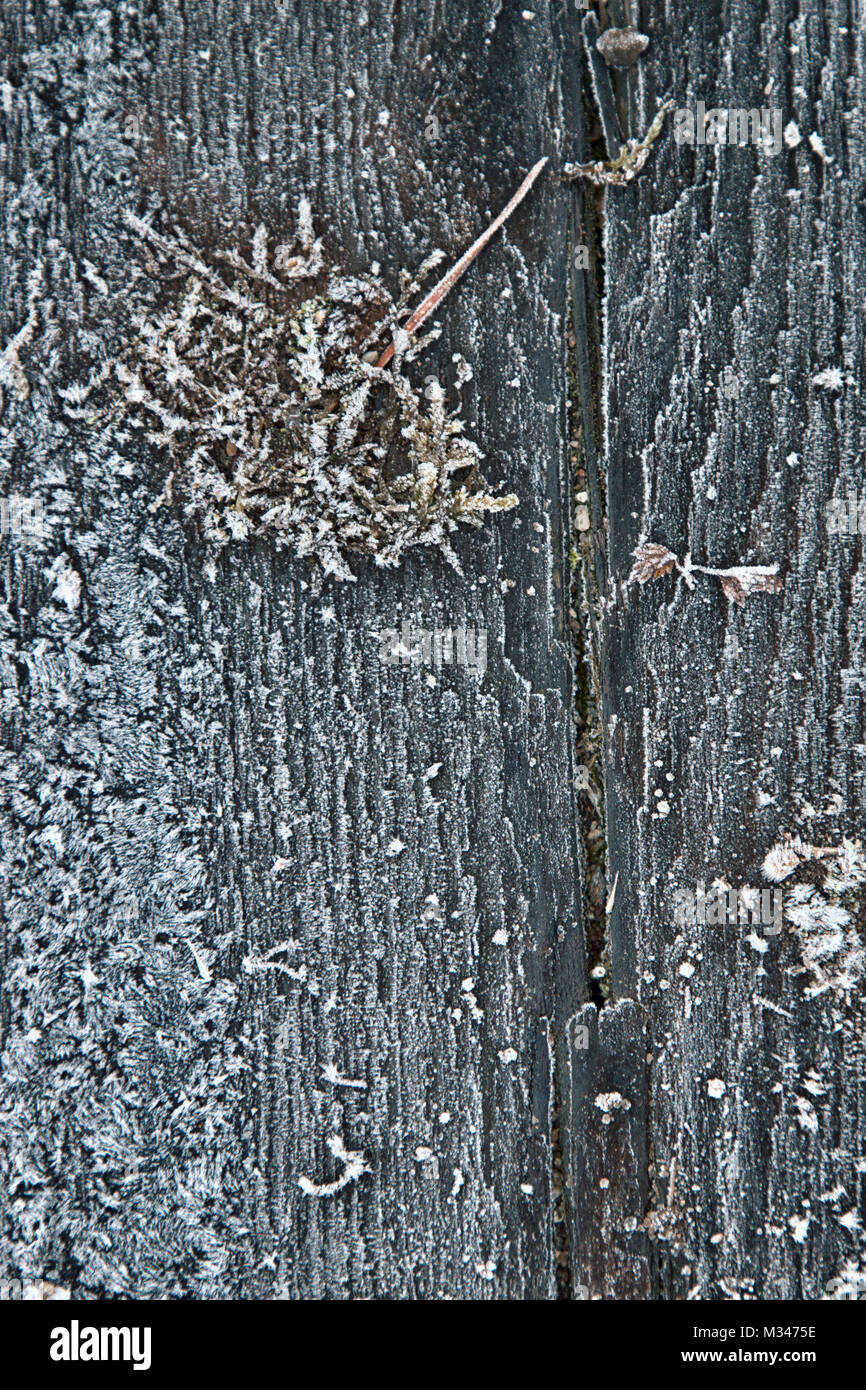 Ground frost, frozen ground, covered with frost. Macro, background ...