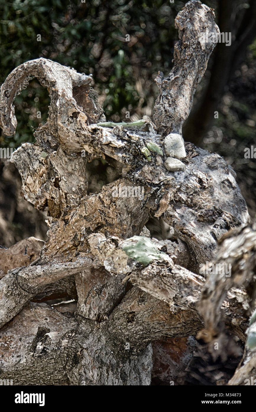 Disintegration matter hi-res stock photography and images - Alamy