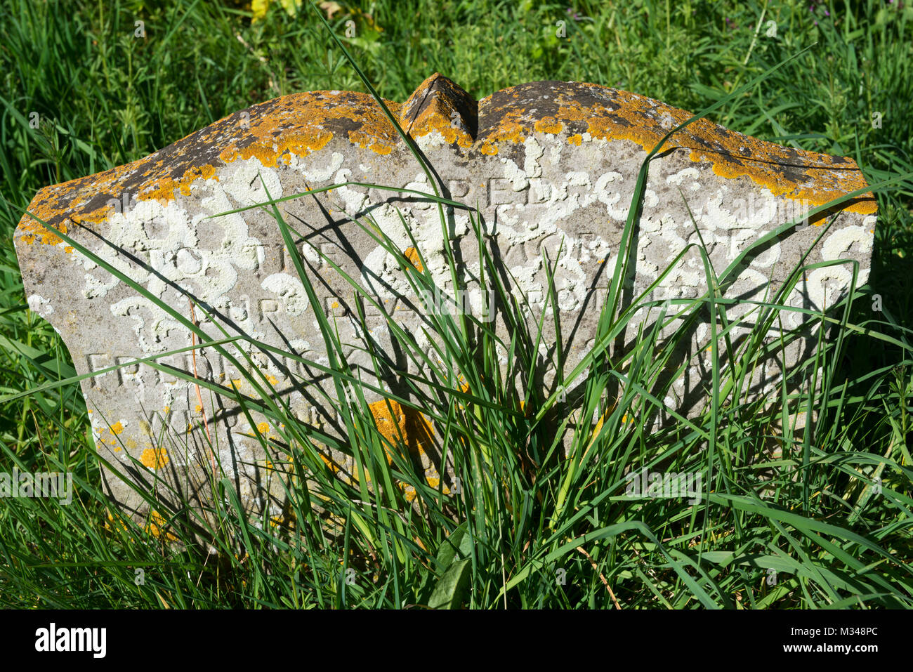 Long gravestone hi-res stock photography and images - Alamy