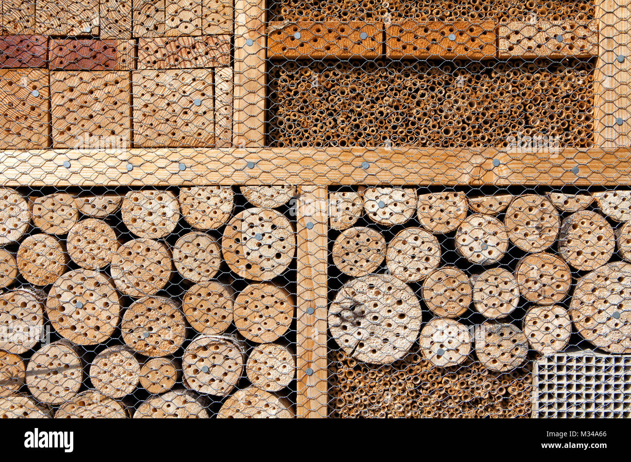 Insect asylum, insect box, an artificial help for nesting and ...