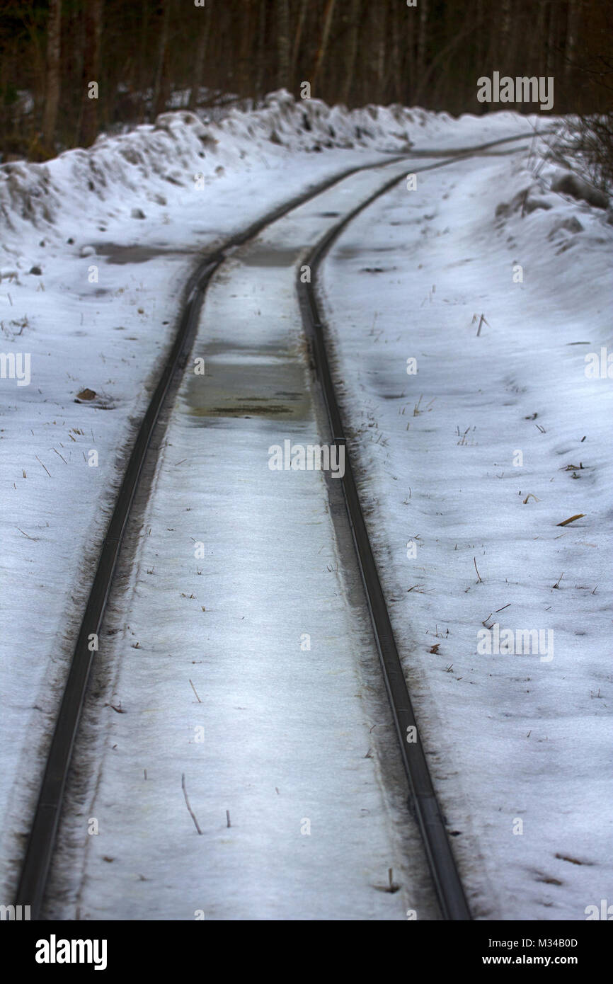 dull landscape with railroad rails in winter Stock Photo - Alamy
