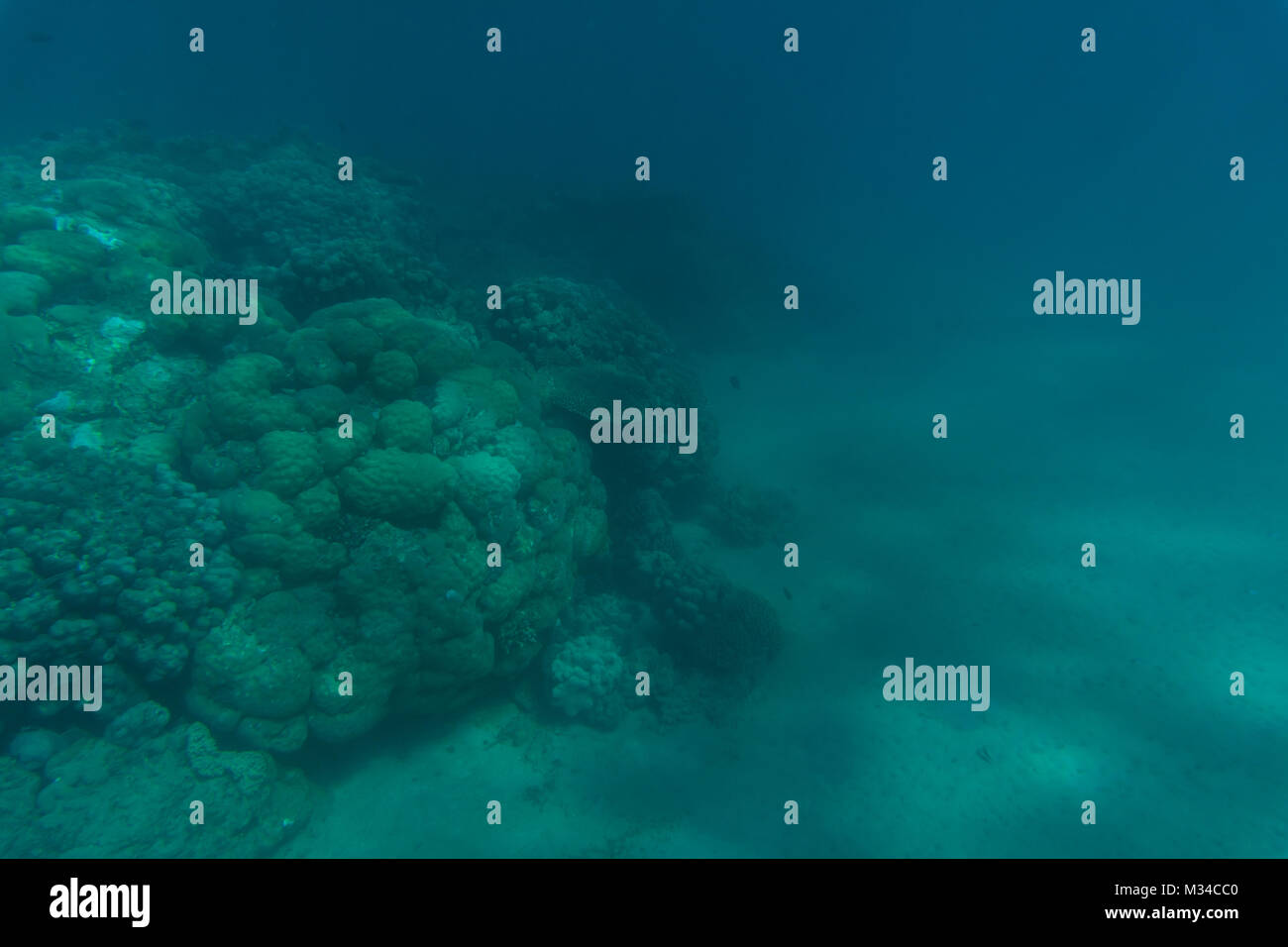 Beautiful seabed background, gorgeous sea bottom through transparent ...