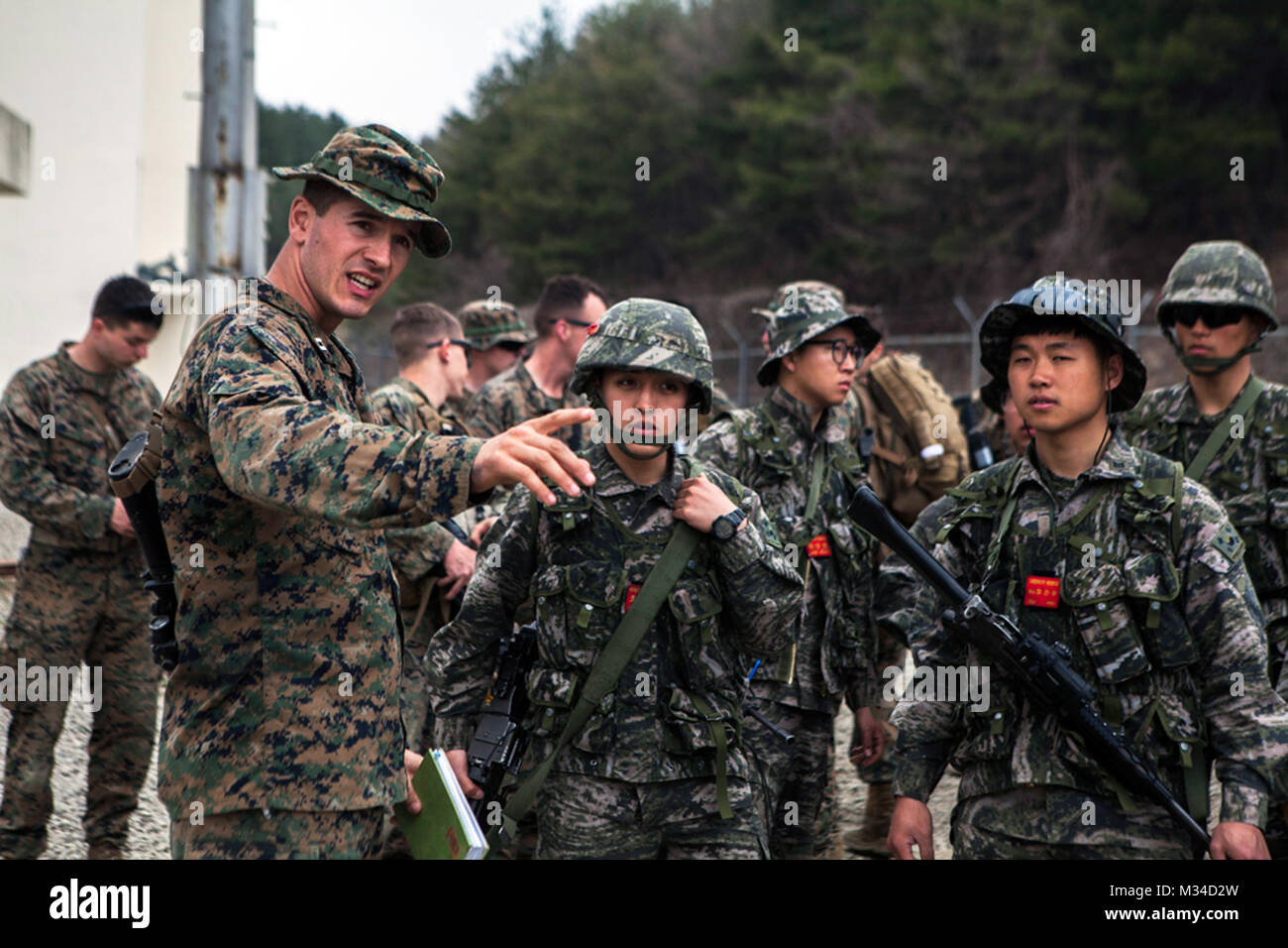 U.S. Marine Corps Capt. Dominic A. Bea, Company F, Battalion Landing ...