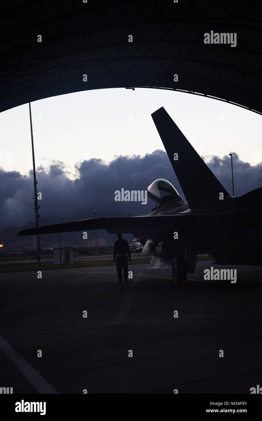 Tech. Sgt. Matthew Molnar, 154th Maintenance Squadron, inspects an F-22 ...