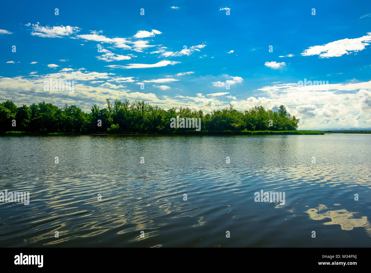 Wide angle lake landscape with trees, forest and clouds in the ...