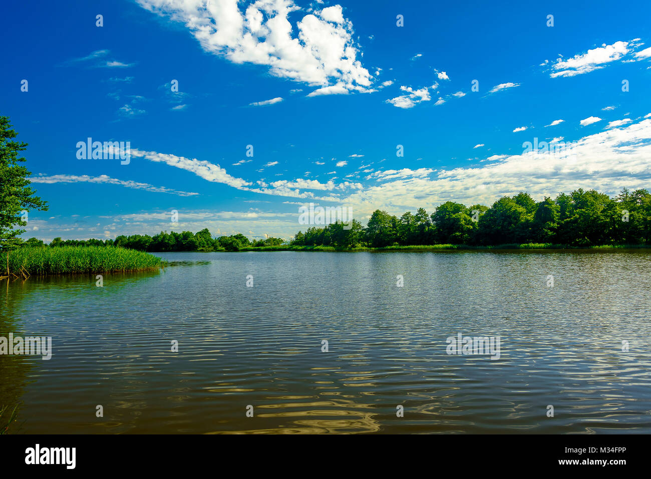 Wide angle lake landscape with trees, forest and clouds in the ...