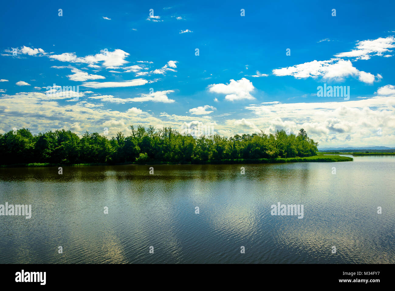 Wide angle lake landscape with trees, forest and clouds in the ...