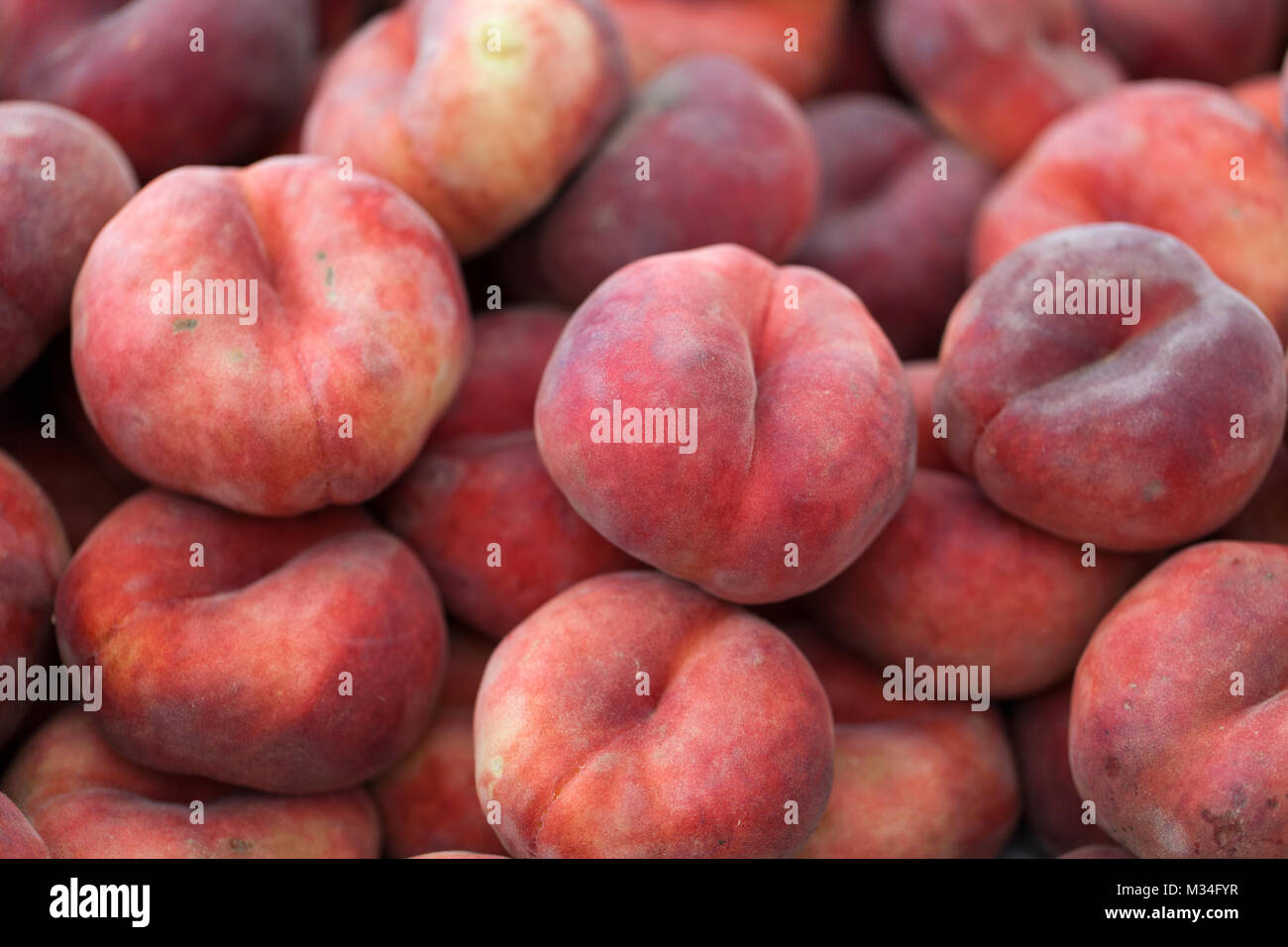 Paraguayos saturn hi-res stock photography and images - Alamy