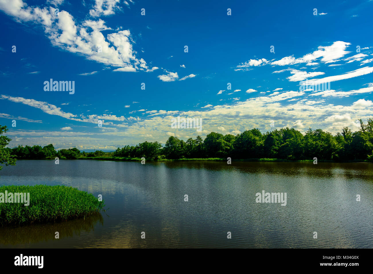 Wide angle lake landscape with trees, forest and clouds in the ...