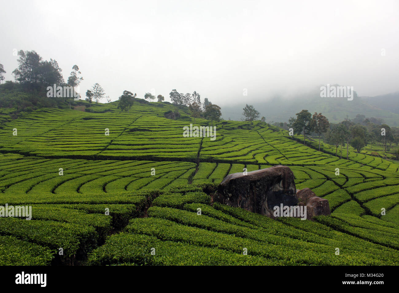 Jawa barat hi-res stock photography and images - Alamy