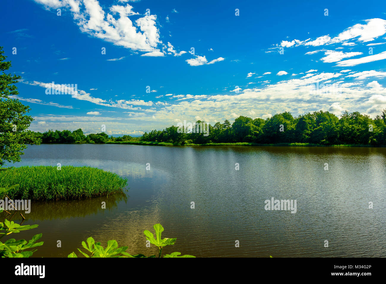 Wide angle lake landscape with trees, forest and clouds in the ...