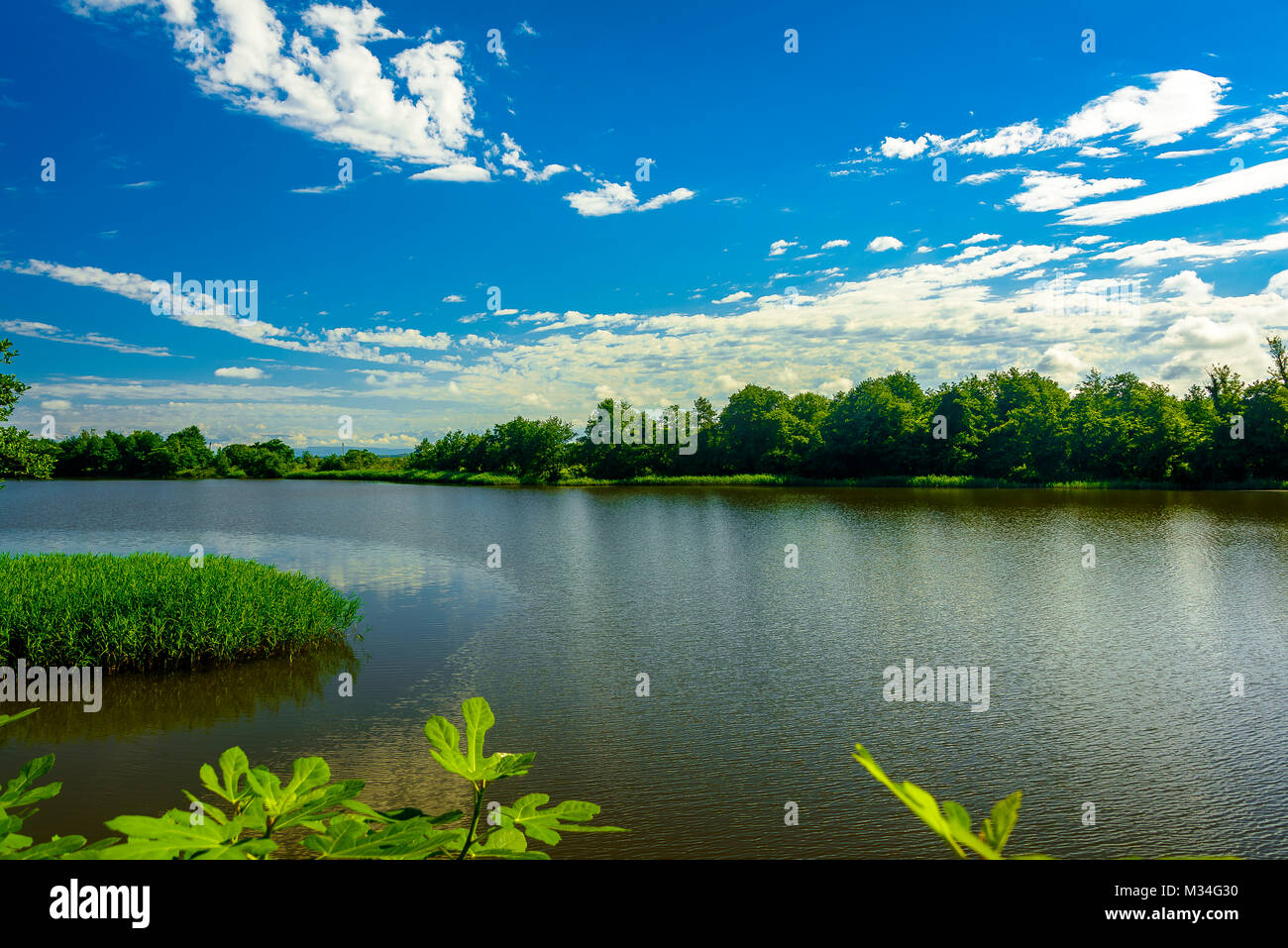 Wide angle lake landscape with trees, forest and clouds in the ...