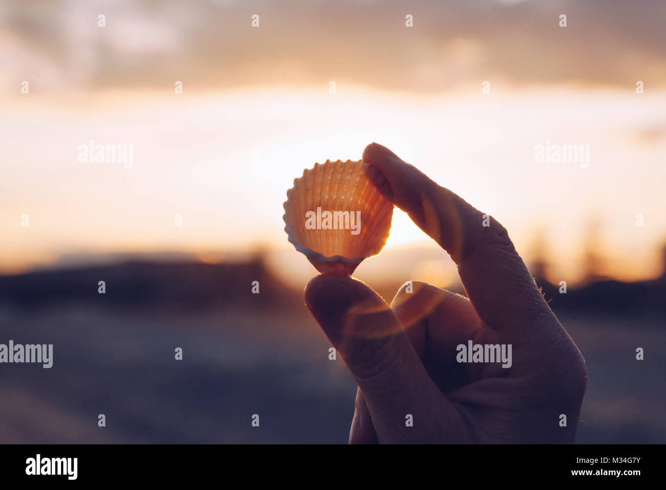 Close up of a hand holding a shell on the beach at sunset - winter ...