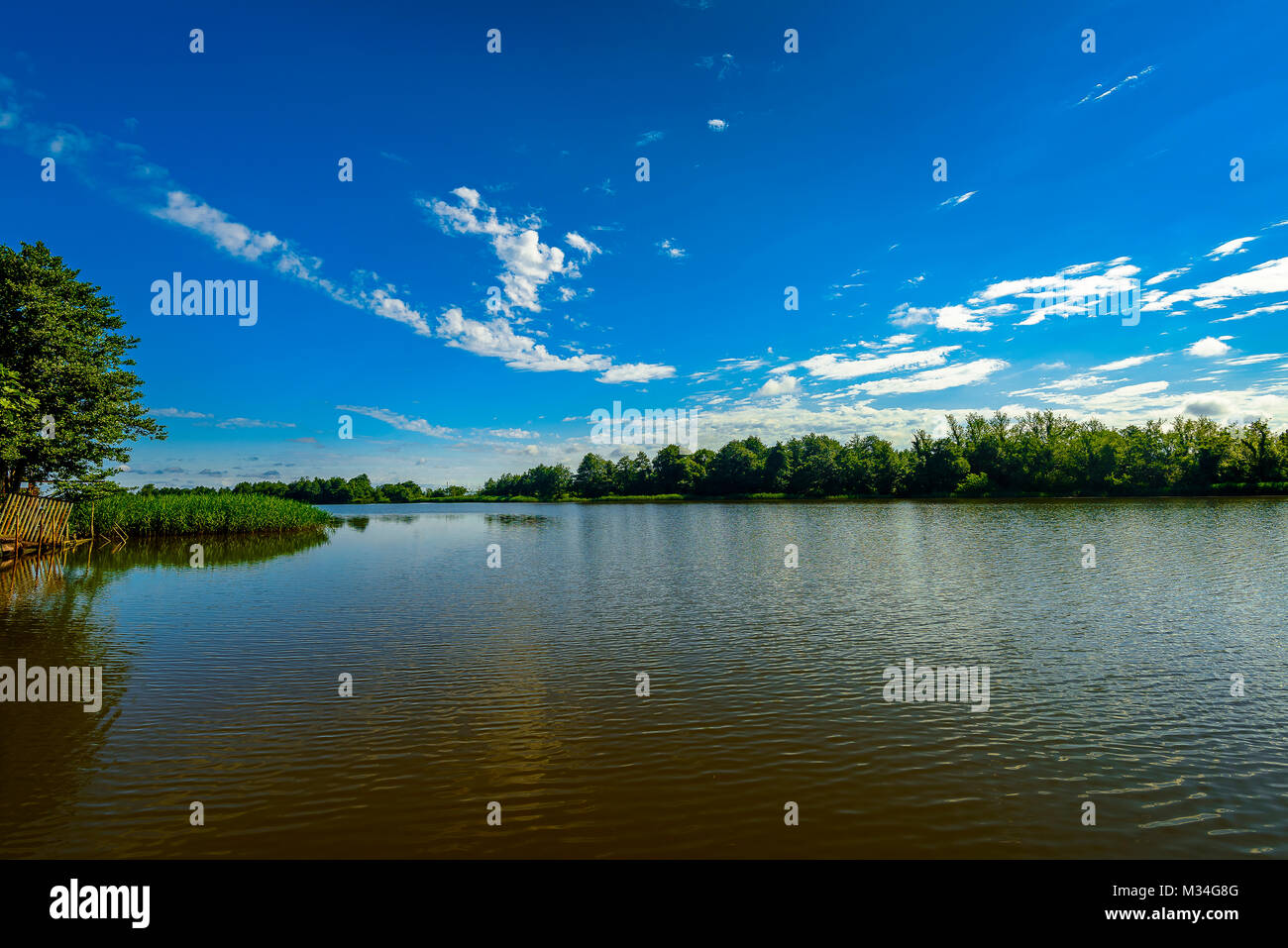 Wide angle lake landscape with trees, forest and clouds in the ...