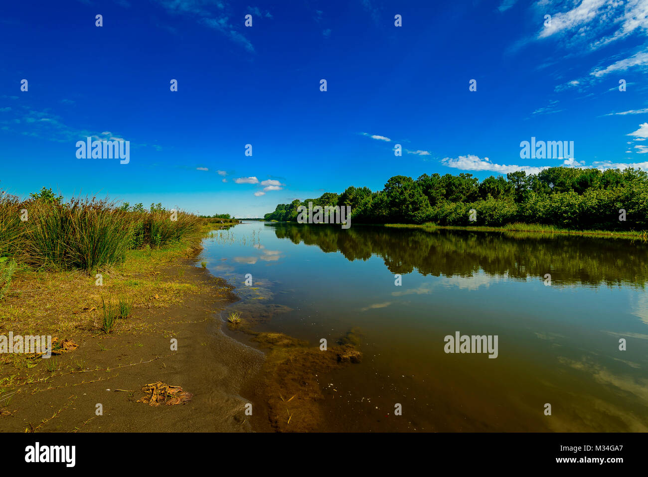 Wide angle lake landscape with trees, forest and clouds in the ...