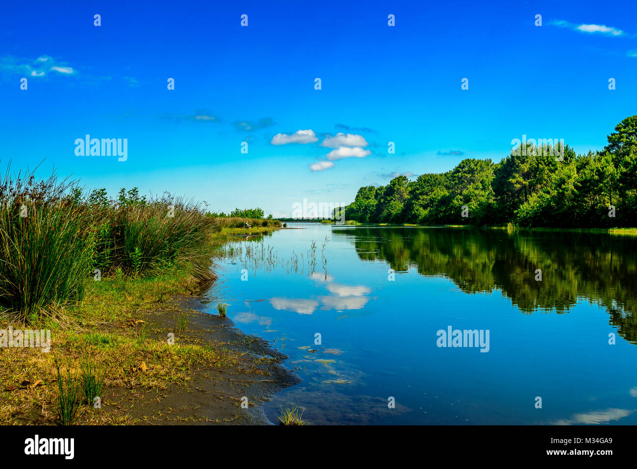 Wide angle lake landscape with trees, forest and clouds in the ...