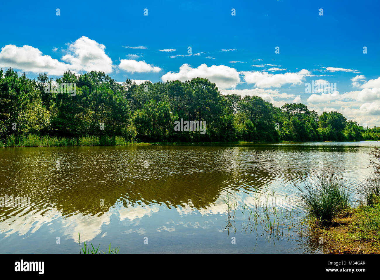 Wide angle lake landscape with trees, forest and clouds in the ...