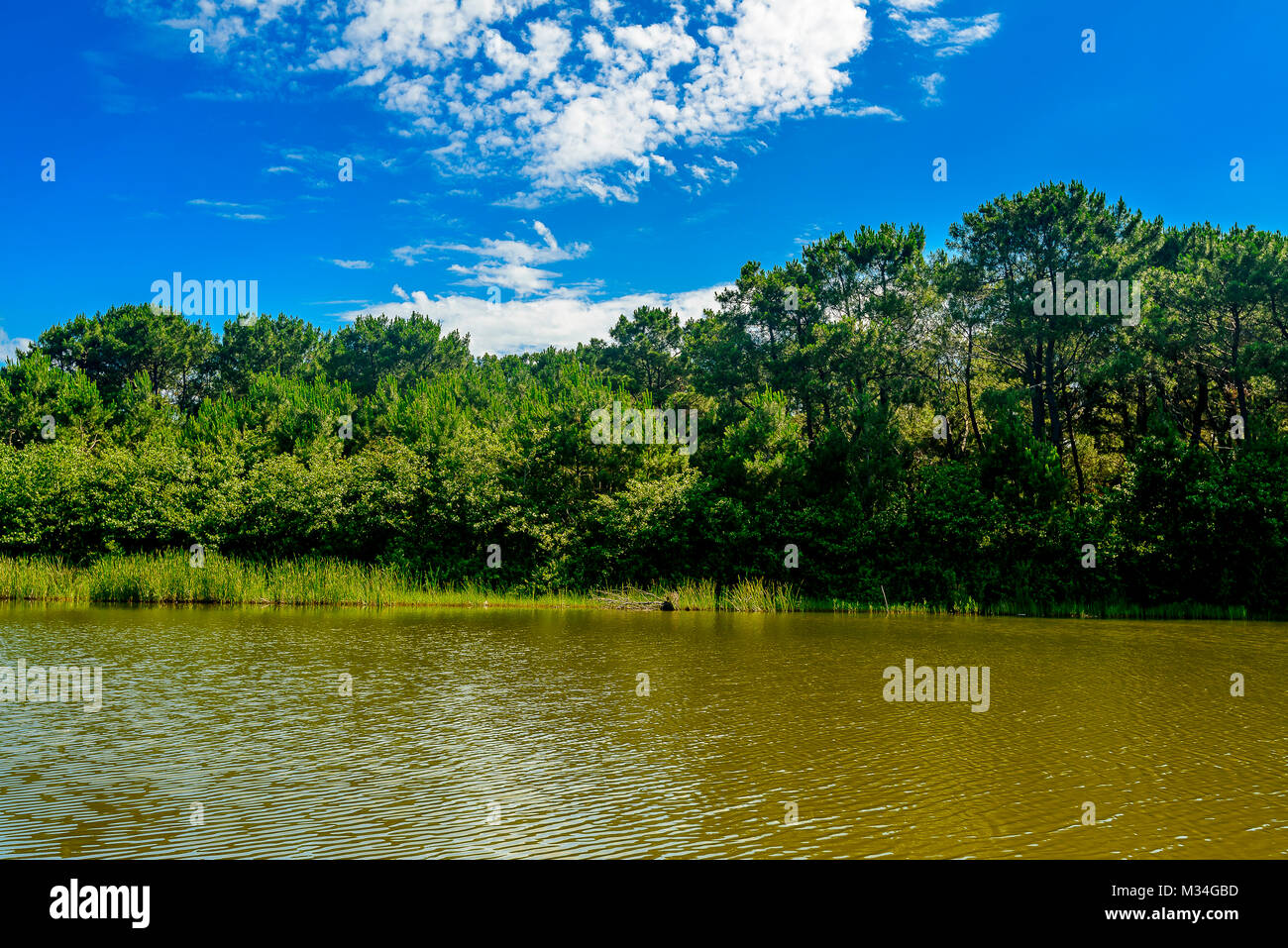 Wide angle lake landscape with trees, forest and clouds in the ...