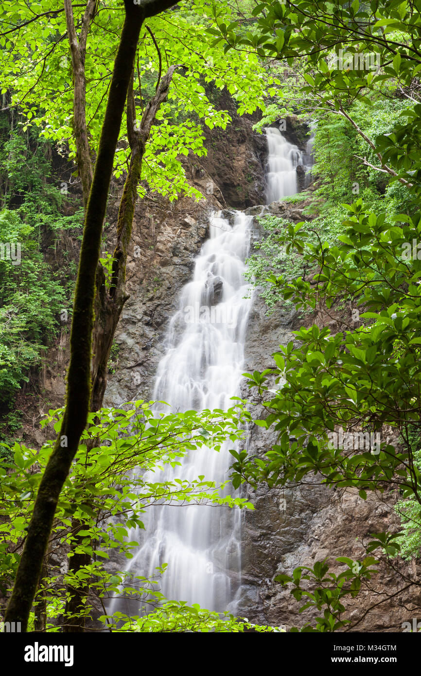 Montezuma waterfall in Costa Rica Stock Photo - Alamy