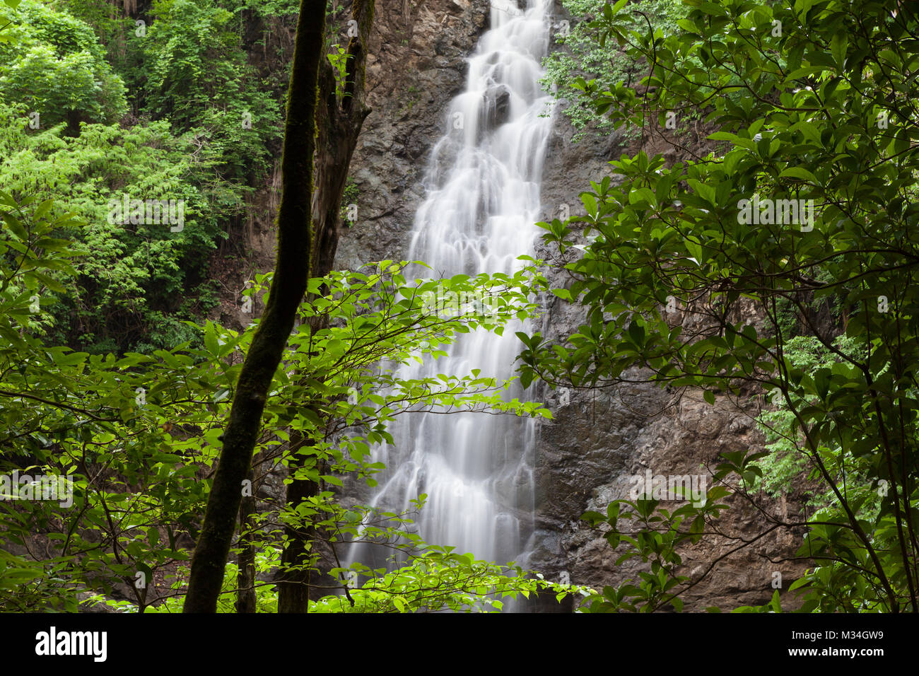 Montezuma waterfall, costa rica hi-res stock photography and images - Alamy