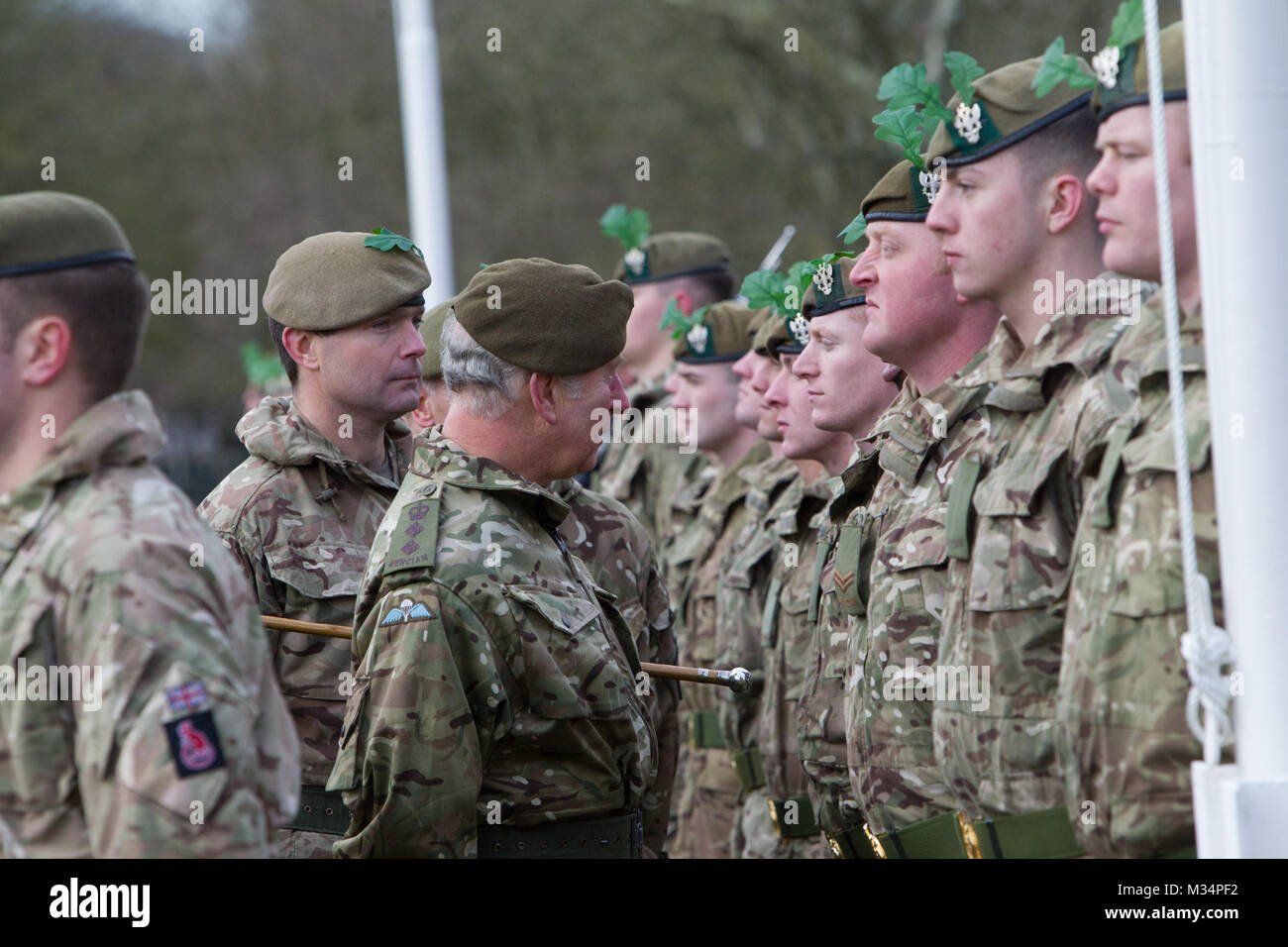 Cheshire Regiment Rose High Resolution Stock Photography and Images - Alamy