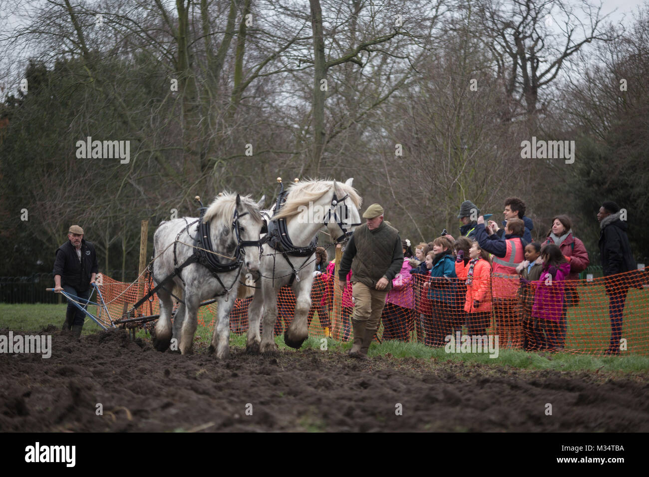 Children with shire horses hi-res stock photography and images - Alamy