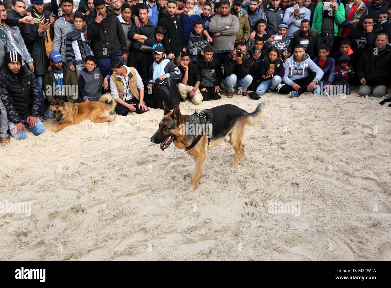 Rafah, Gaza Strip, Palestinian Territory. 9th Feb, 2018. Palestinians ...