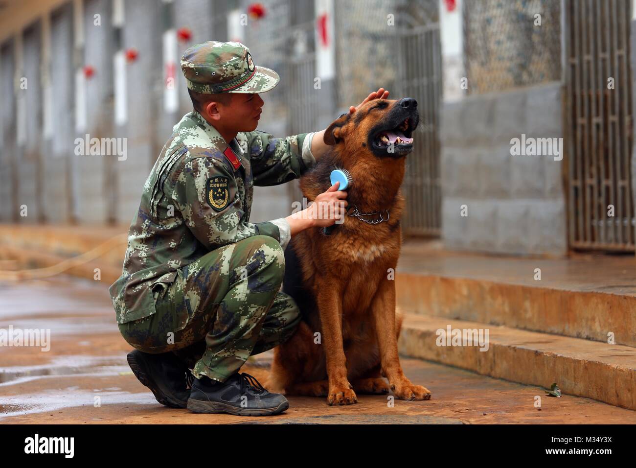 Dog trainer dog trainers hi-res stock photography and images - Alamy