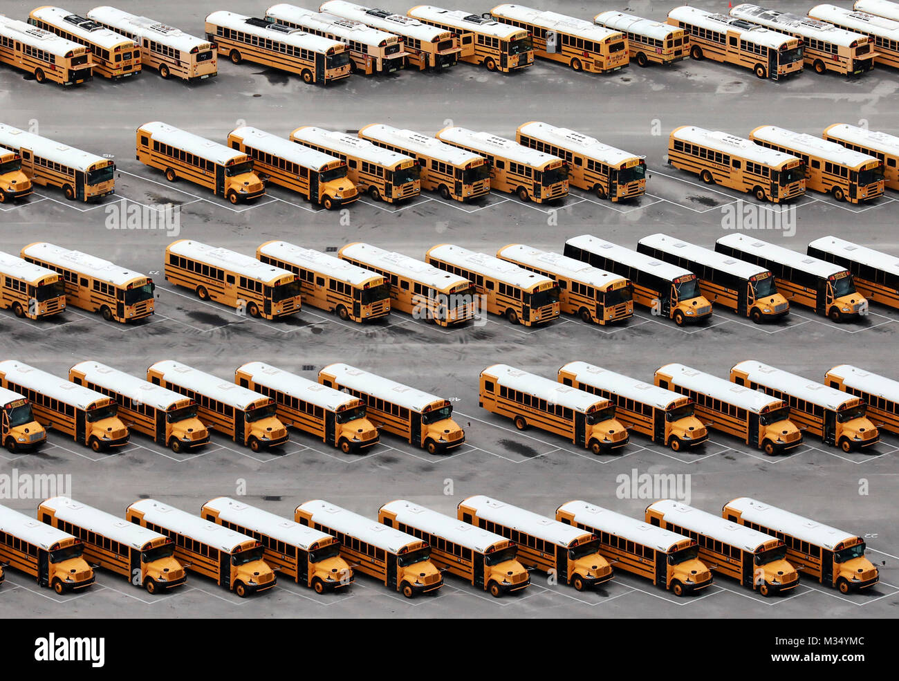 School buses in line hi-res stock photography and images - Alamy