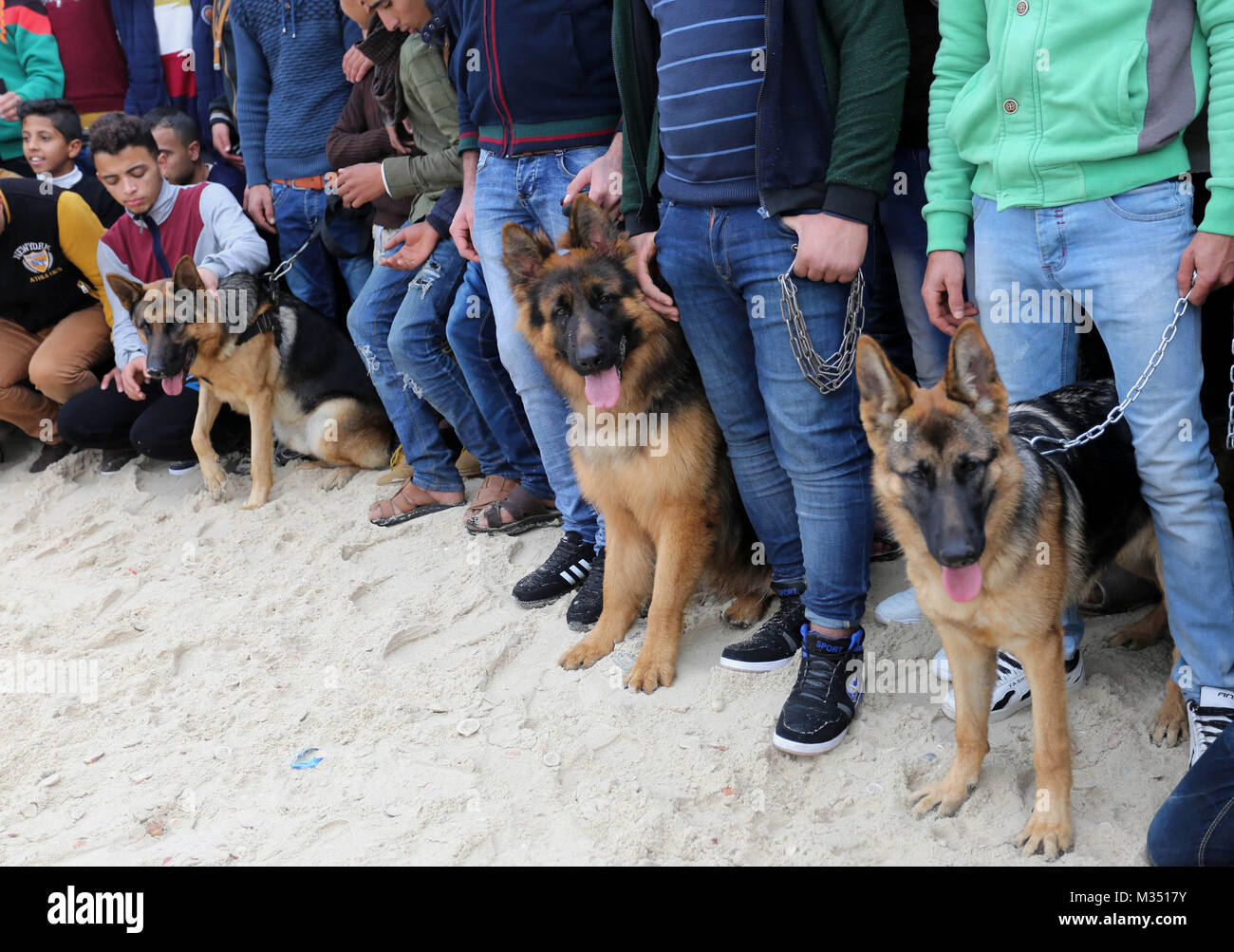 Rafah, Gaza Strip, Palestinian Territory. 9th Feb, 2018. Palestinians ...