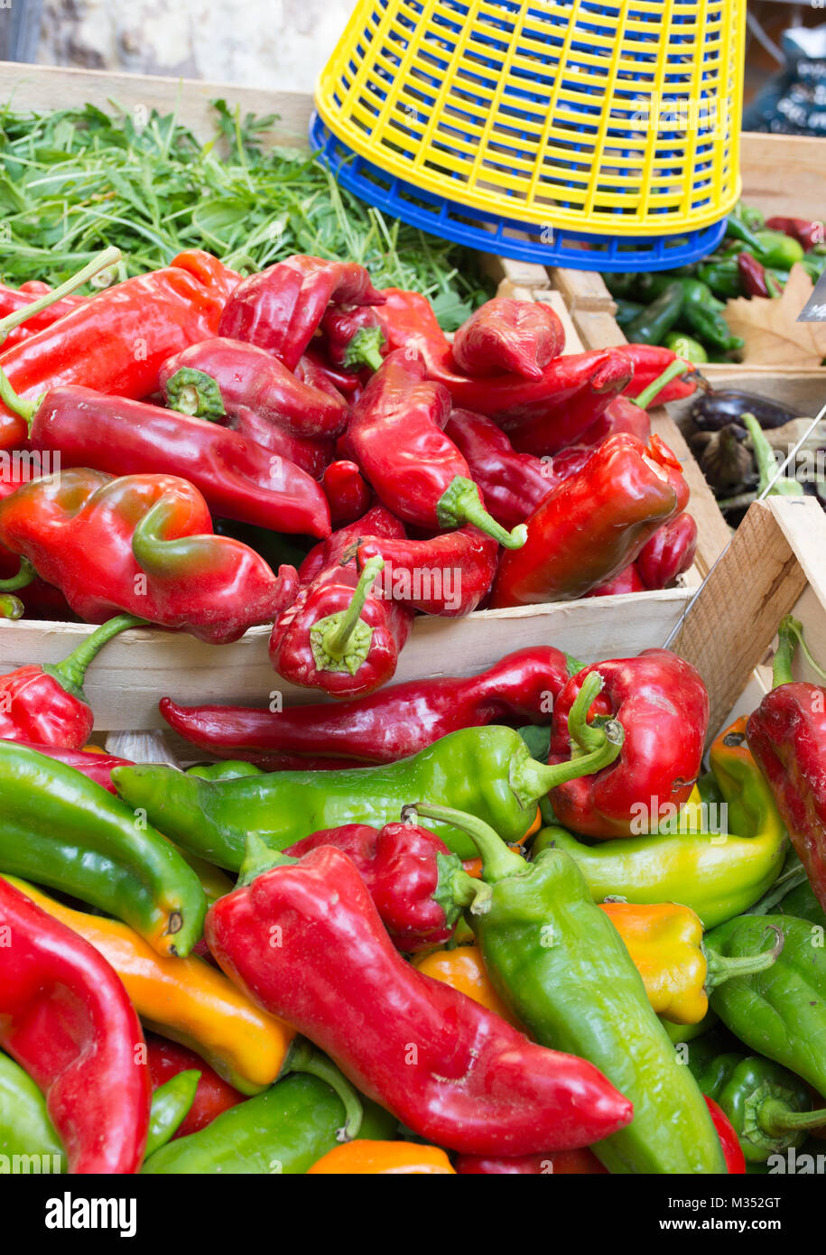 Close up of green, gold and red anaheim chile peppers being sold at a ...