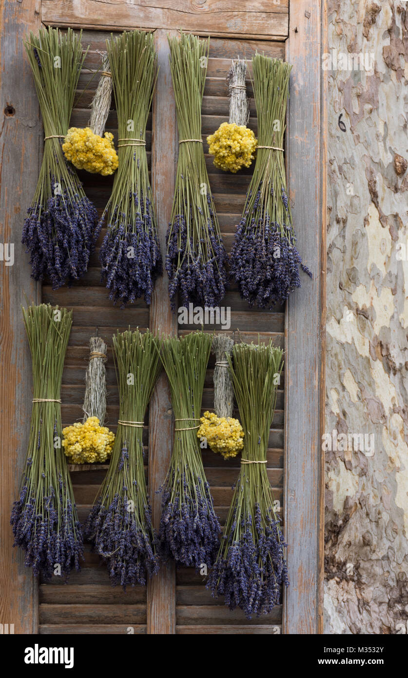 Hanging lavender bunches hi-res stock photography and images - Alamy