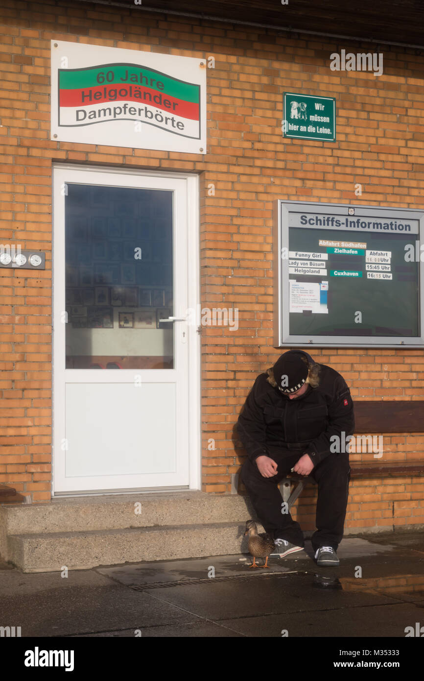 Person feeding duck hi-res stock photography and images - Alamy