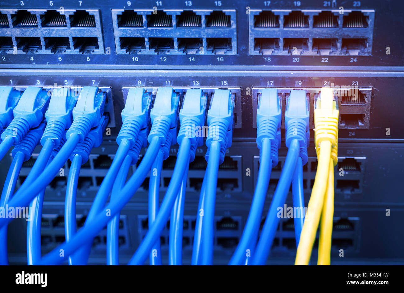 Cables Connected to Internet Switch Stock Photo - Alamy