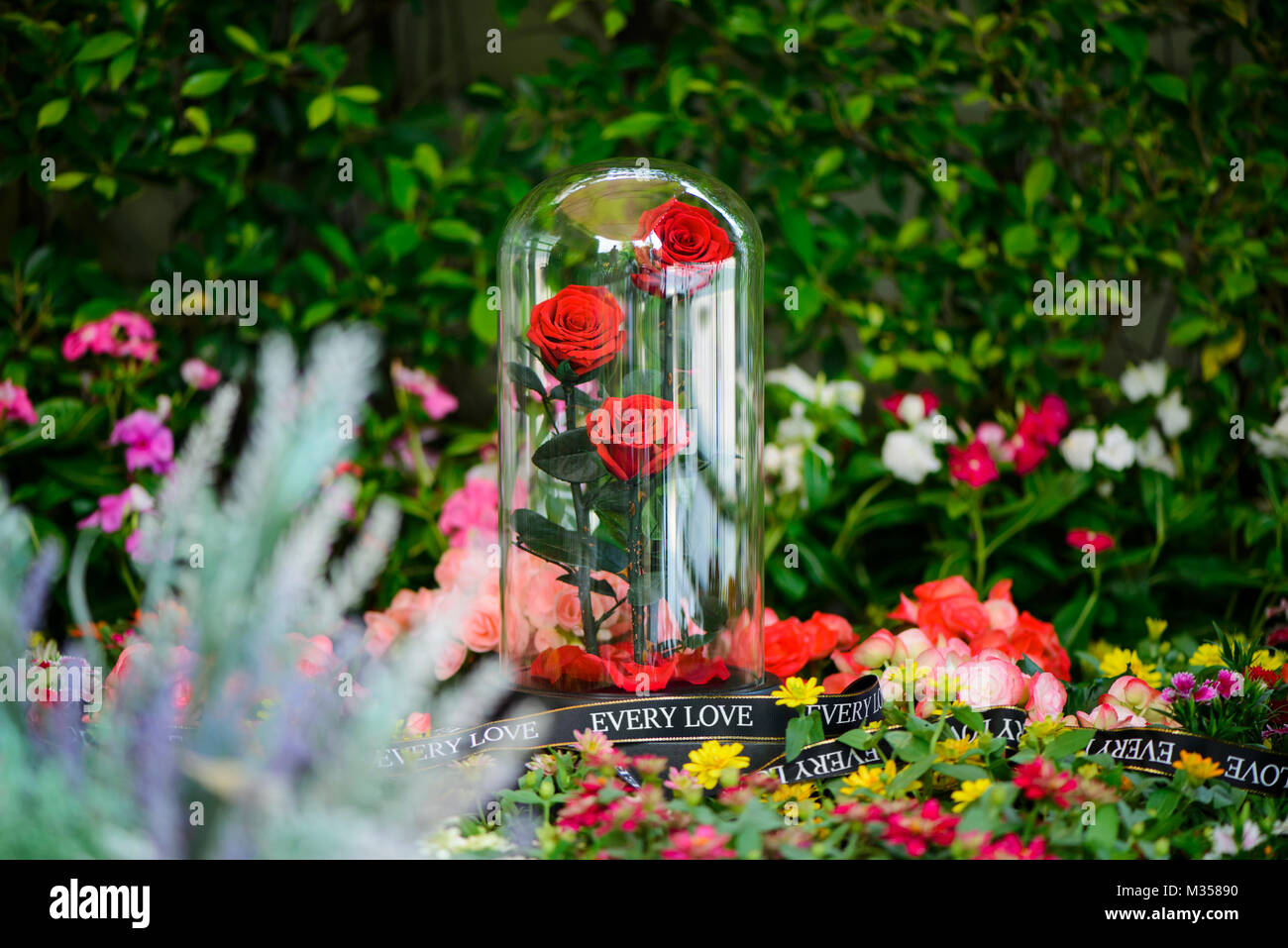 The eternal red roses in the flask on the garden Stock Photo - Alamy