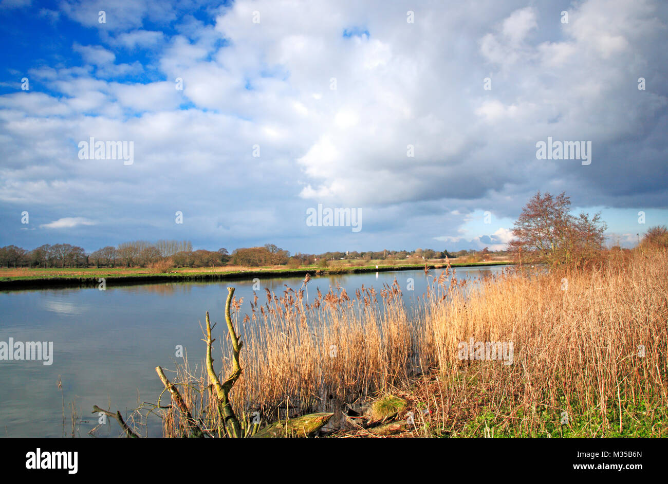 A view over the River Yare to Postwick Marsh from the Wherrymans Way on ...
