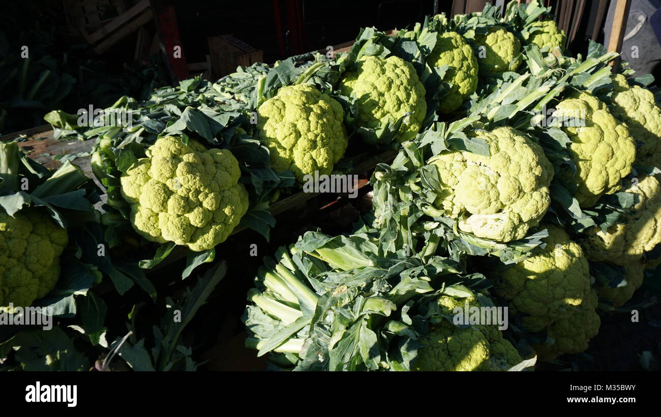 Palermo, Sicily, Italy - food market Stock Photo - Alamy