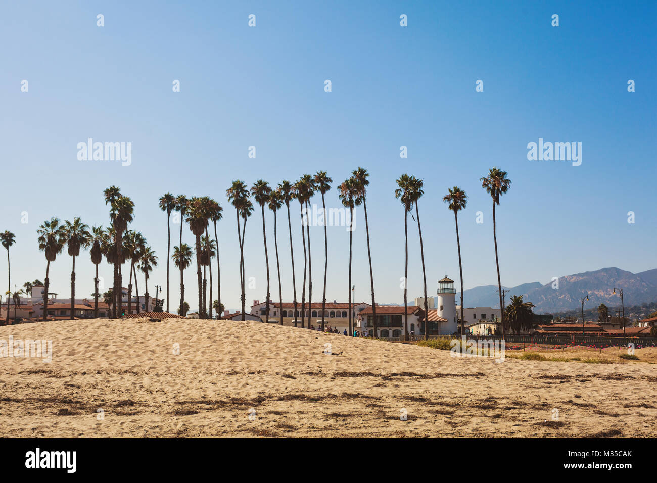 Santa Barbara sand beach with tall palms Stock Photo - Alamy