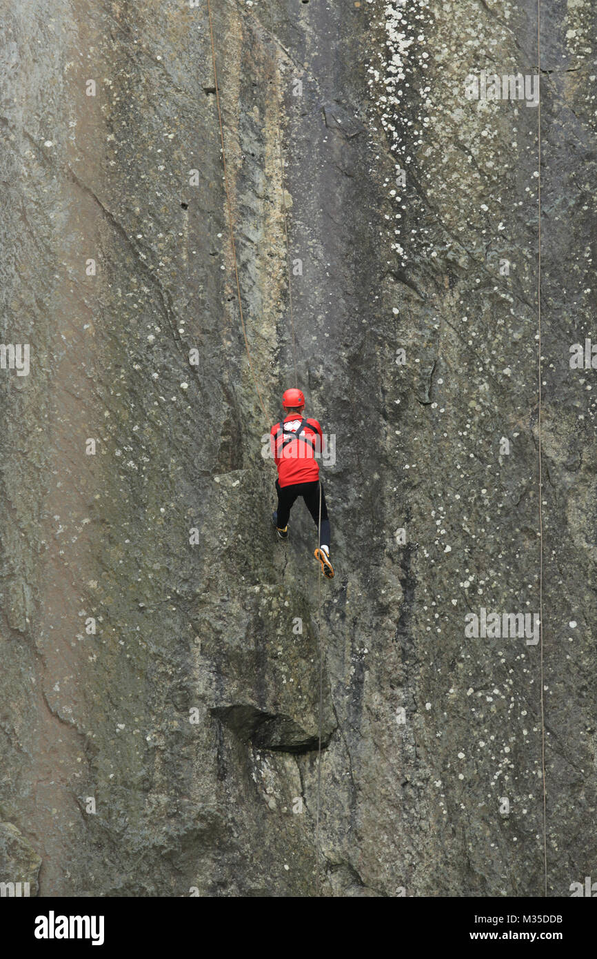 Man abseiling down a rock face in Cathedral quarry, Little Langdale in ...