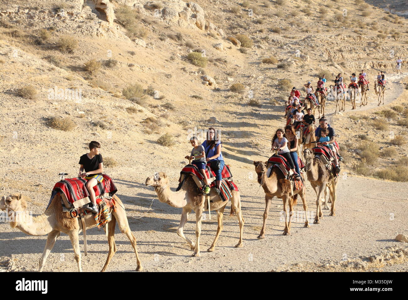 Convoy of camels hi-res stock photography and images - Alamy