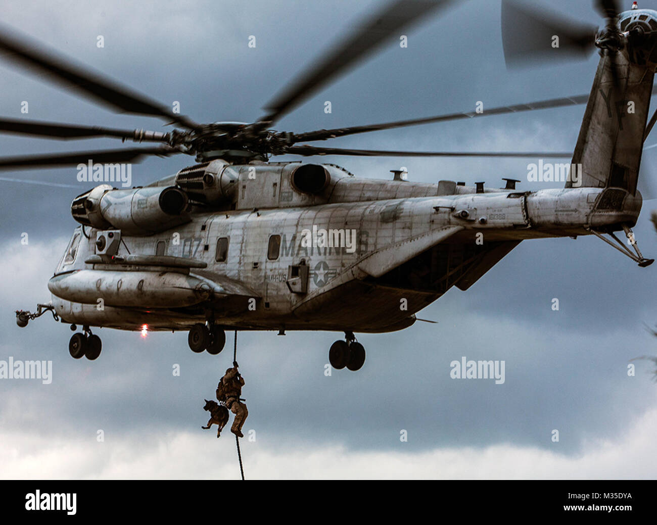 Cpl. Conner Scott fast-ropes out of a CH-53E Super Stallion helicopter ...